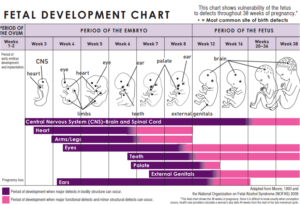 An introduction to Foetal Alcohol Spectrum Disorder (FASD) - Institute ...
